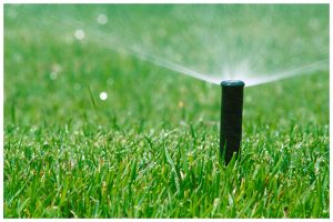 Irrigation & Reticulation Repairs Services Joondalup, Perth, WA